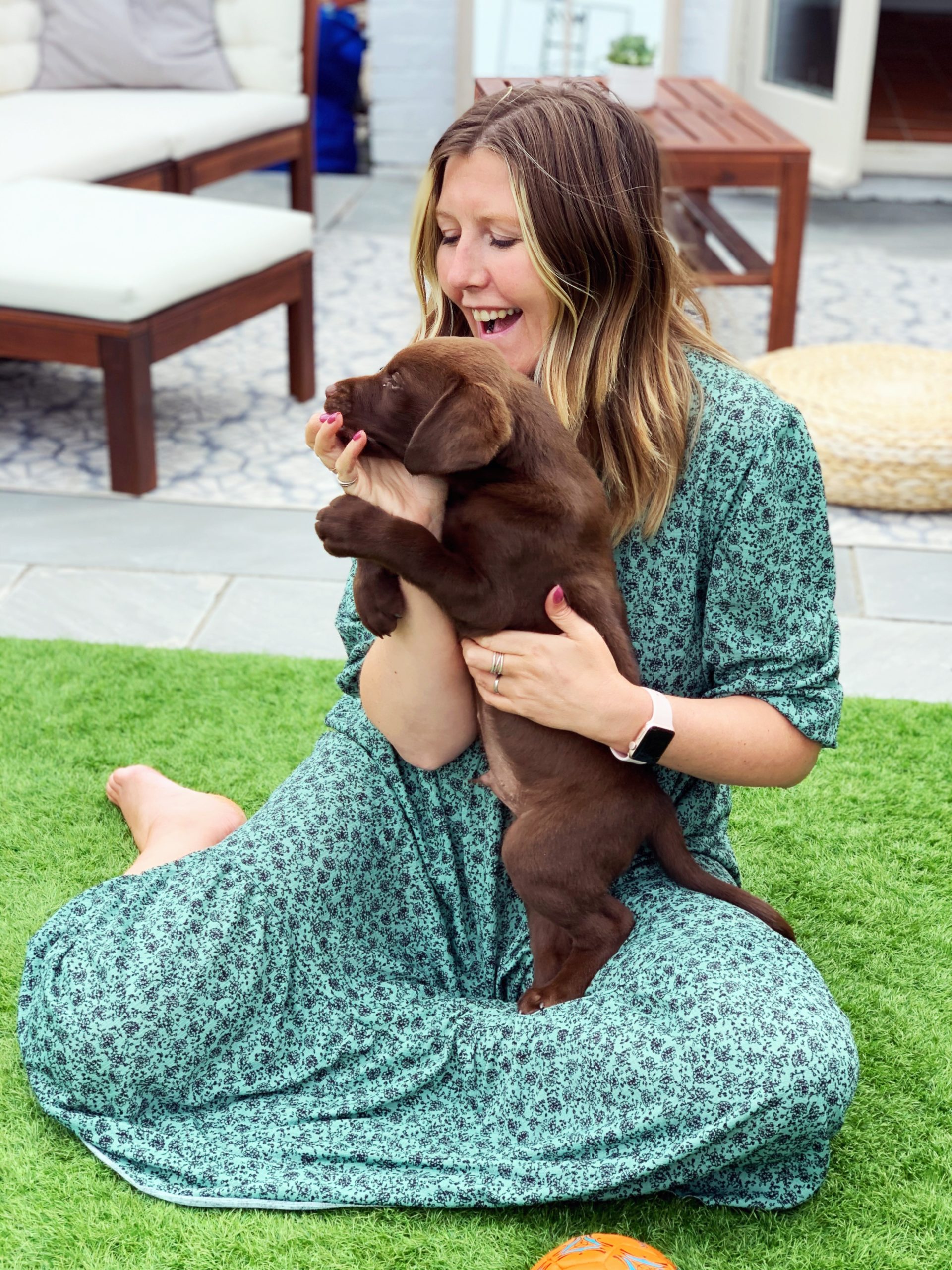 Say hello to Bobby - Our Labrador Retriever Puppy - The KA Edit