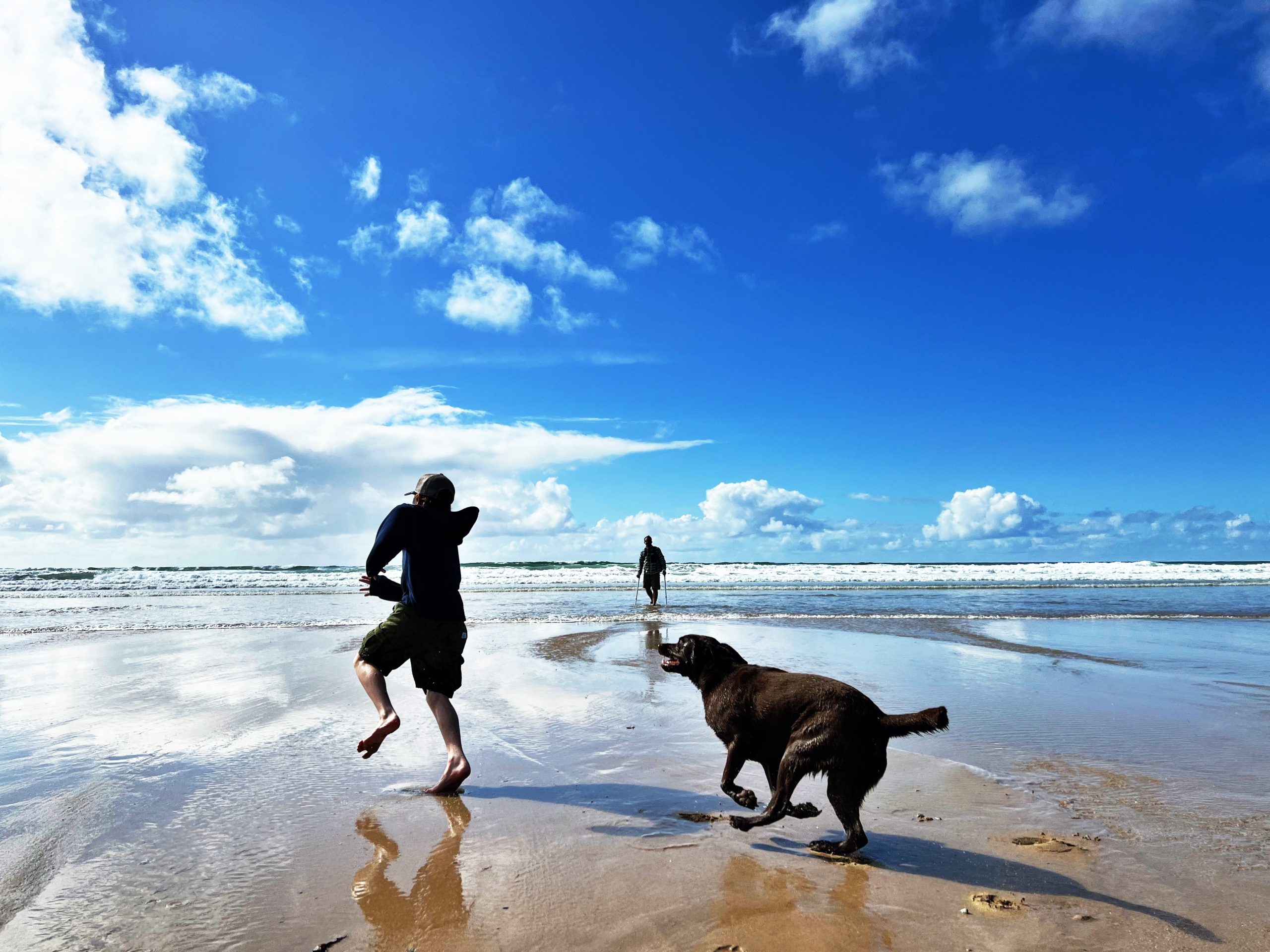5 of the best dog friendly beaches in Cornwall - The KA Edit