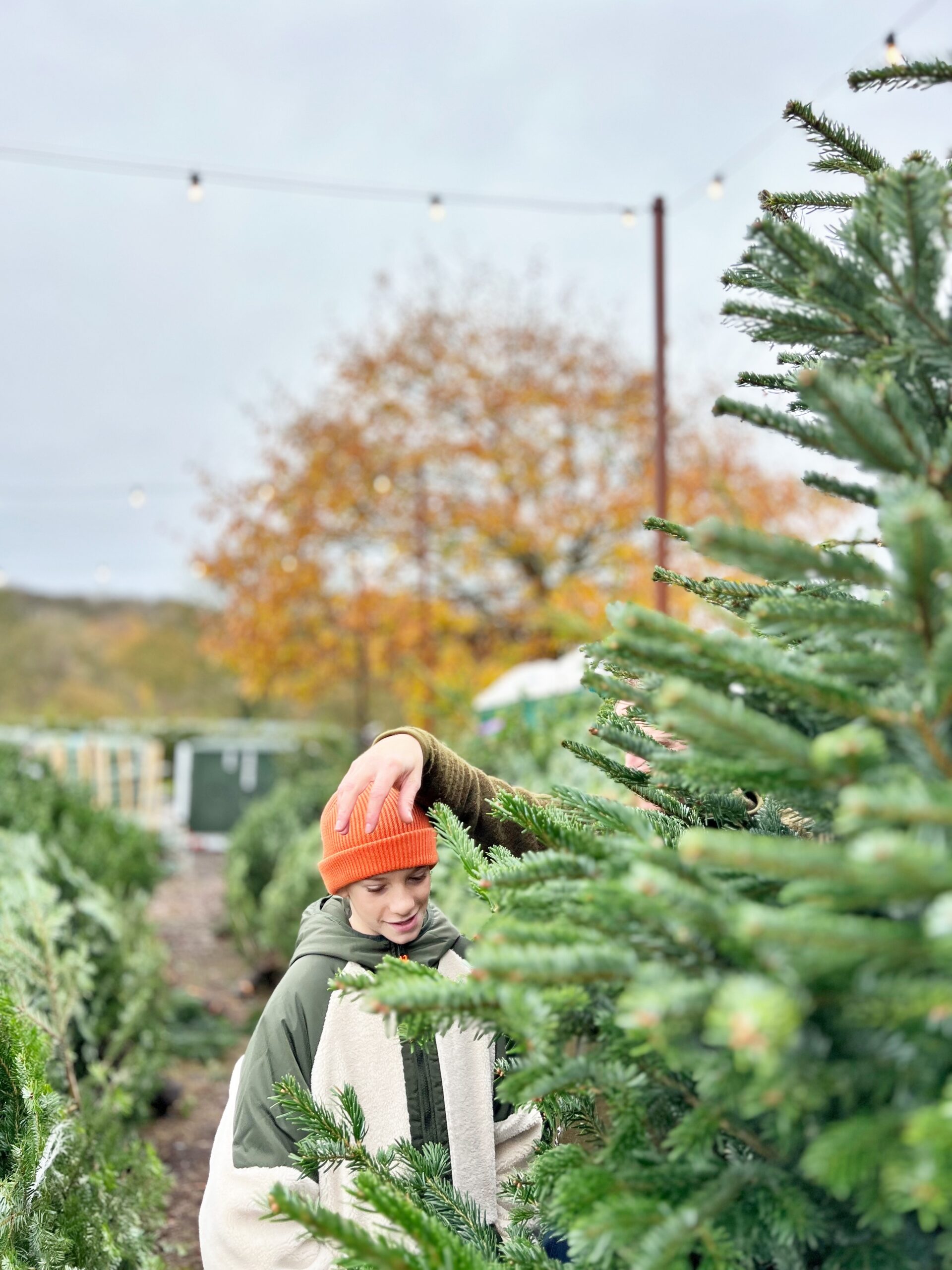 Kicking off the festivities at Keele Christmas Tree Farm - The KA Edit